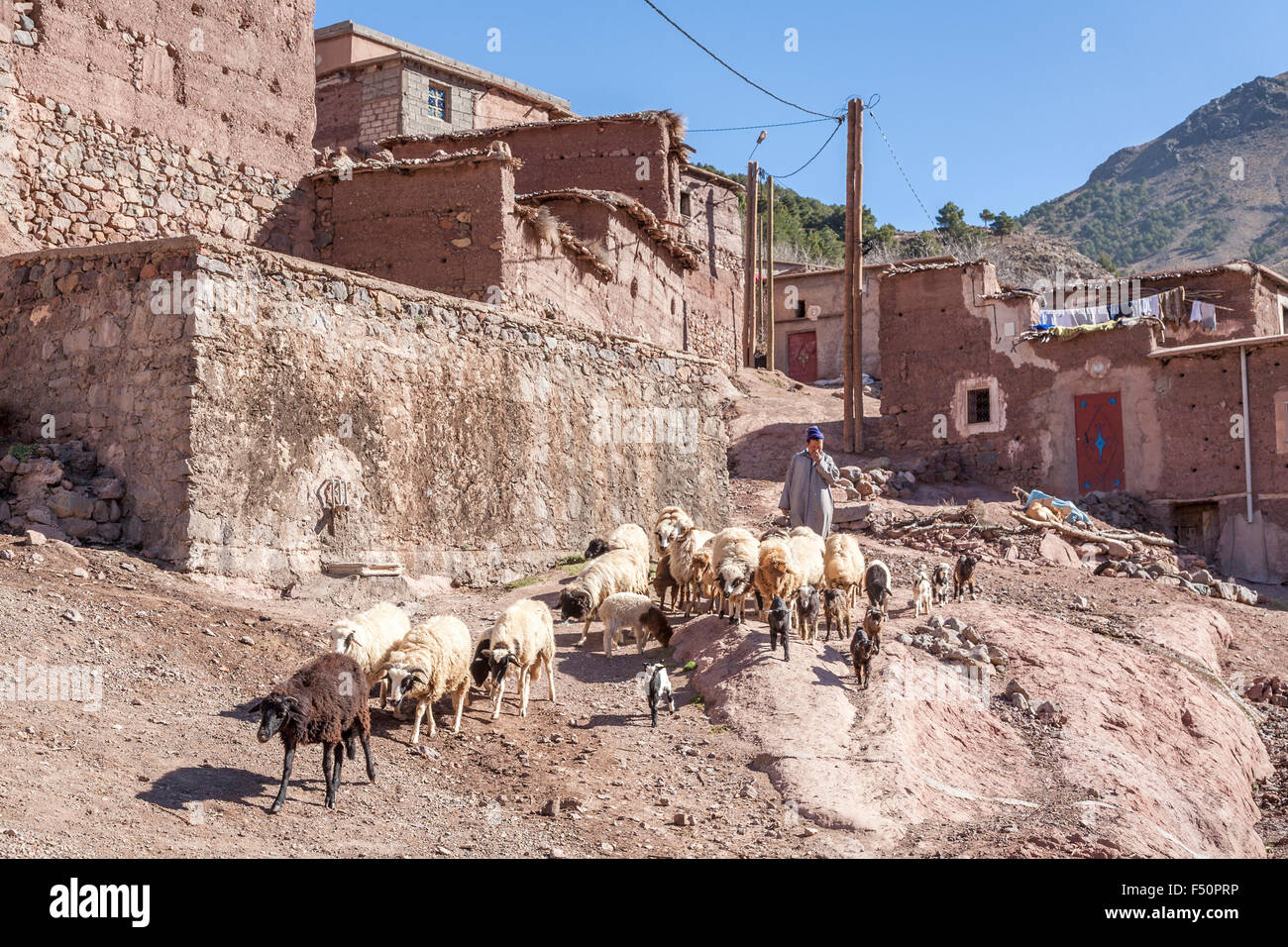 Berber village life hi-res stock photography and images - Alamy