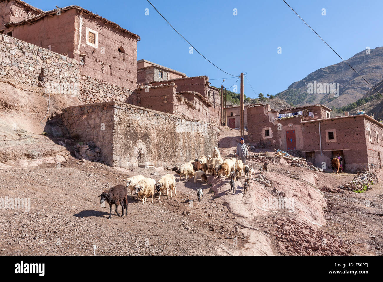 Berber village life hi-res stock photography and images - Alamy