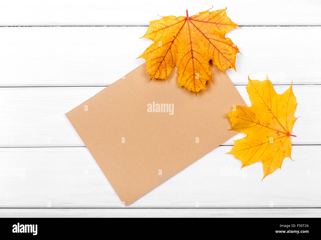 Autumn leaves sheet hi-res stock photography and images - Alamy
