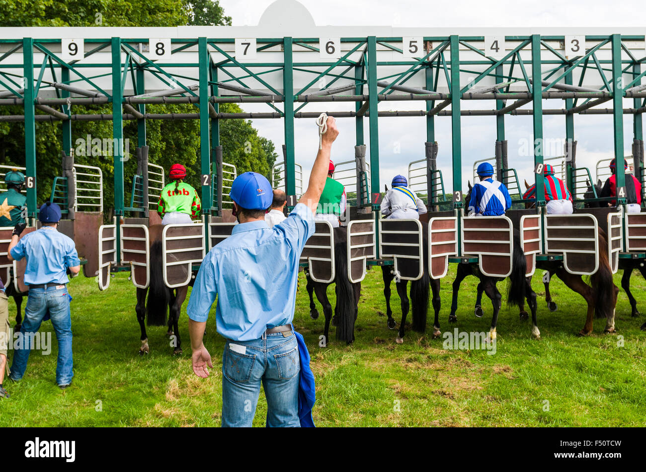 Horses with jockeys in the startbox just before starting the race, seen ...