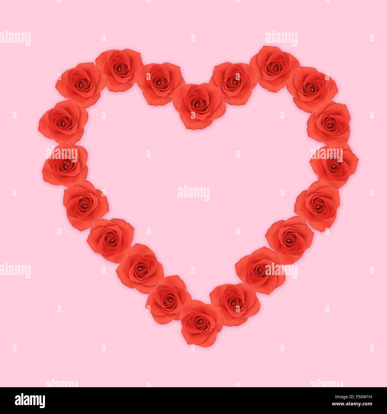 White rose red heart hi-res stock photography and images - Alamy