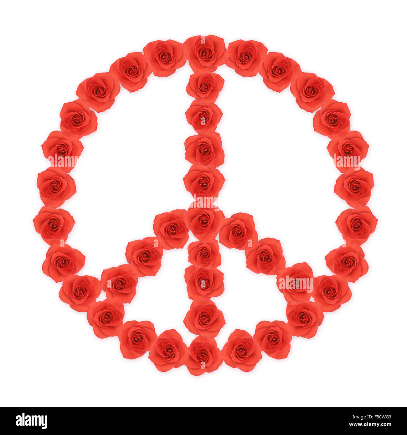 Peace rose hi-res stock photography and images - Alamy
