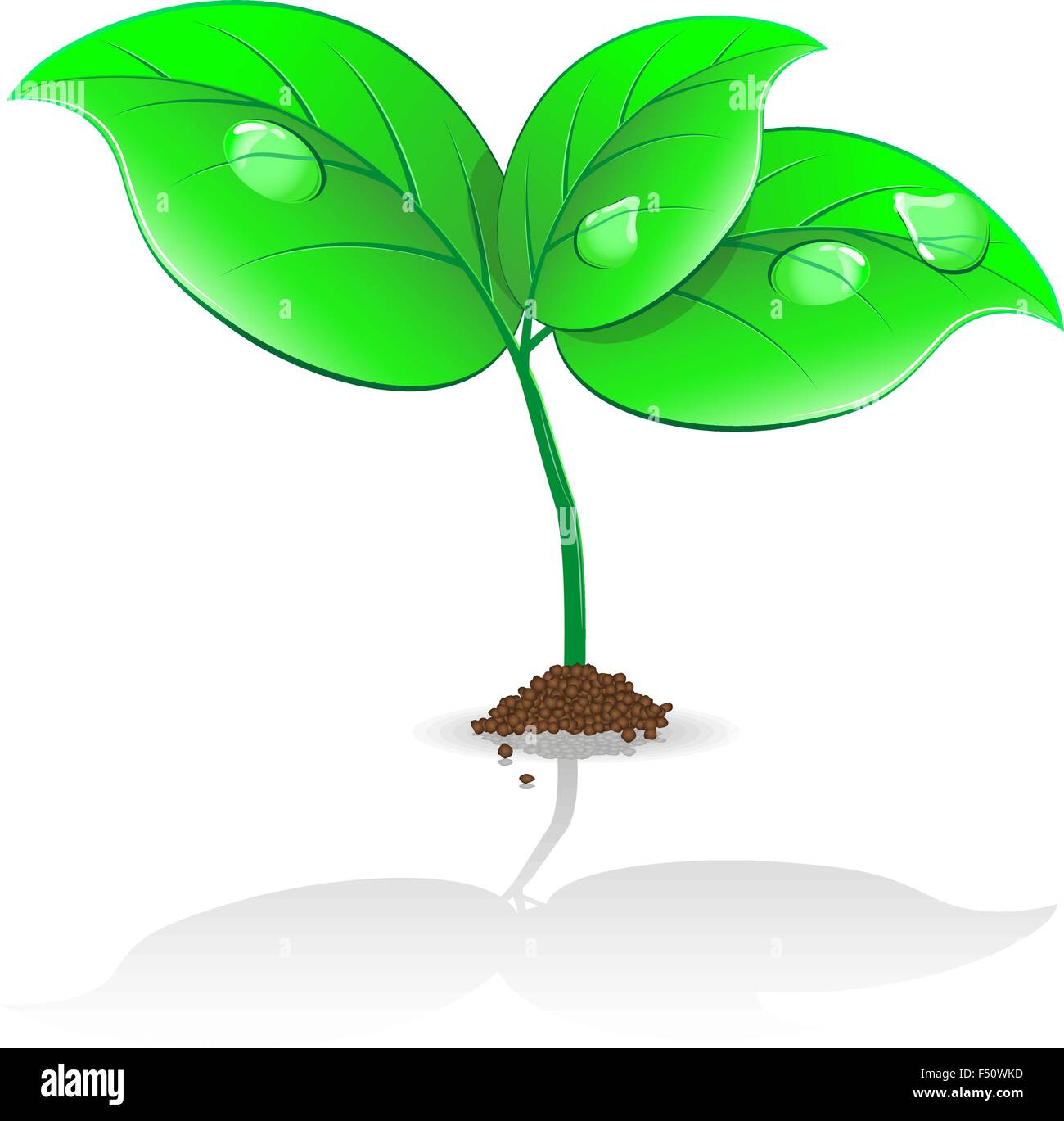 Background fresh clean new Stock Vector Images - Alamy