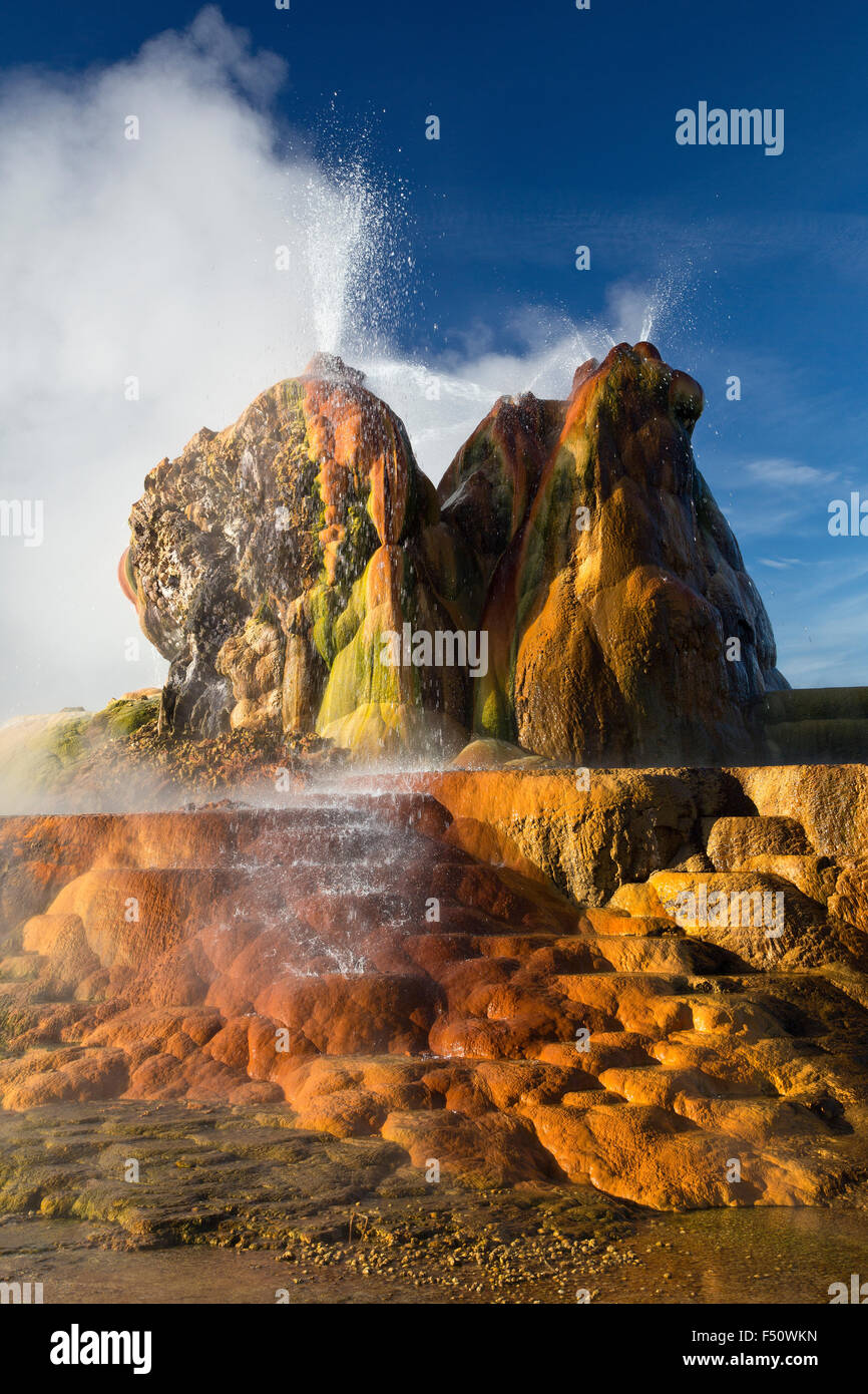 Fly geyser black rock hi-res stock photography and images - Alamy