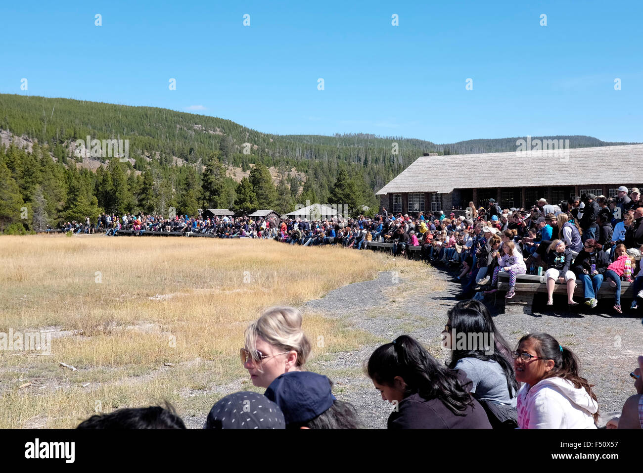 Crowd waiting for eruption of Old Faithful in Yellowstone National Park ...