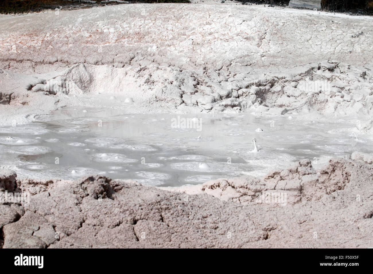 Boiling mud near the Paint Pots in Yellowstone National Park Stock ...