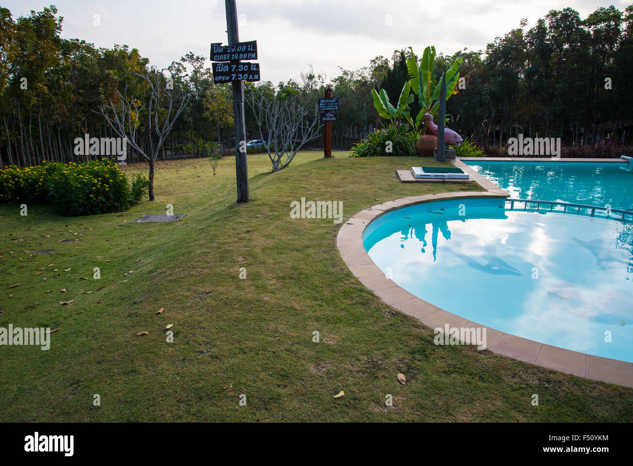 Swimming pool on resort on the mountain Stock Photo - Alamy