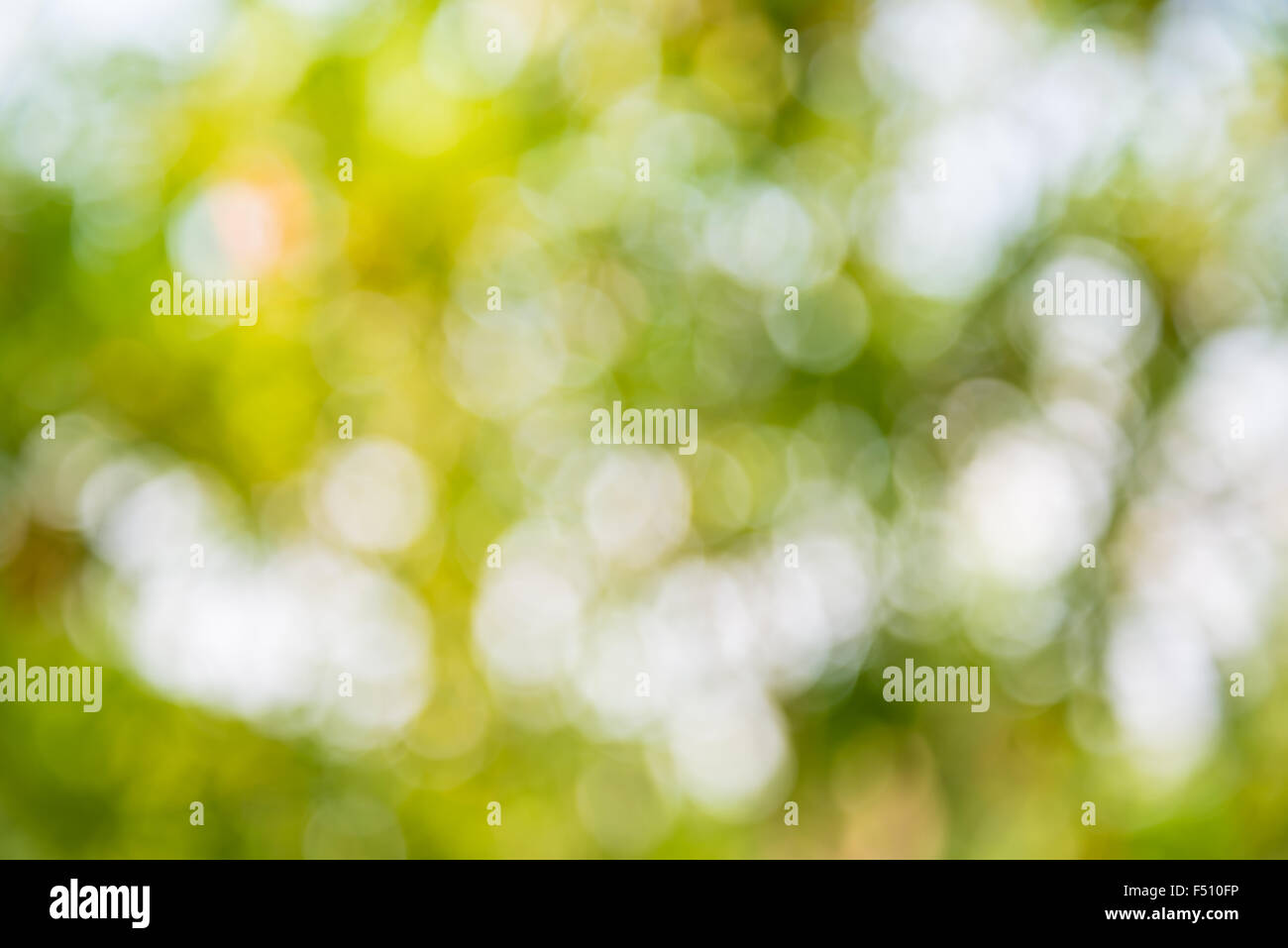 Zoom shot out of focus green tree for background. Bokeh Stock Photo - Alamy