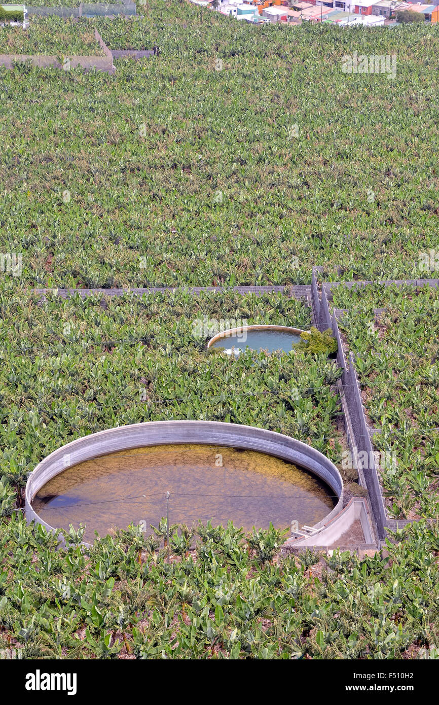 Round Water Pond Stock Photo - Alamy