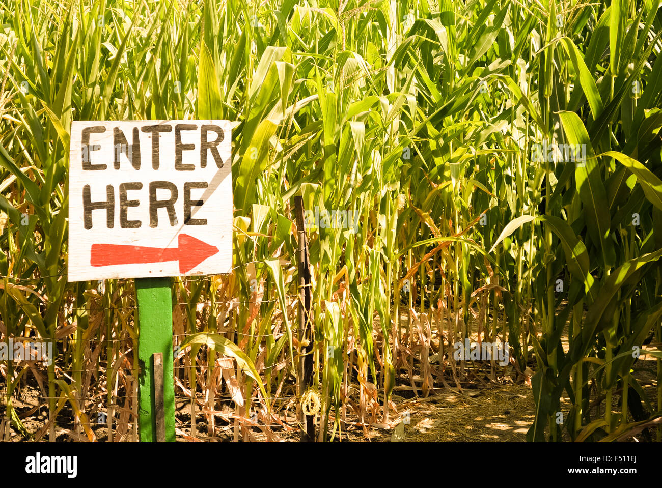 Corn maze signage hi-res stock photography and images - Alamy