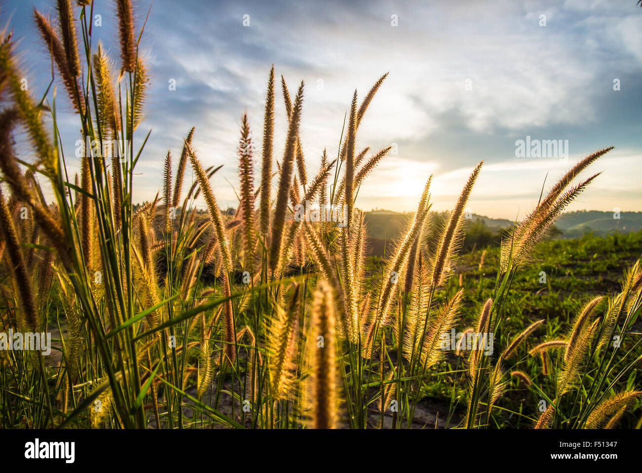 Surrounded by the sea and mountains hi-res stock photography and images ...