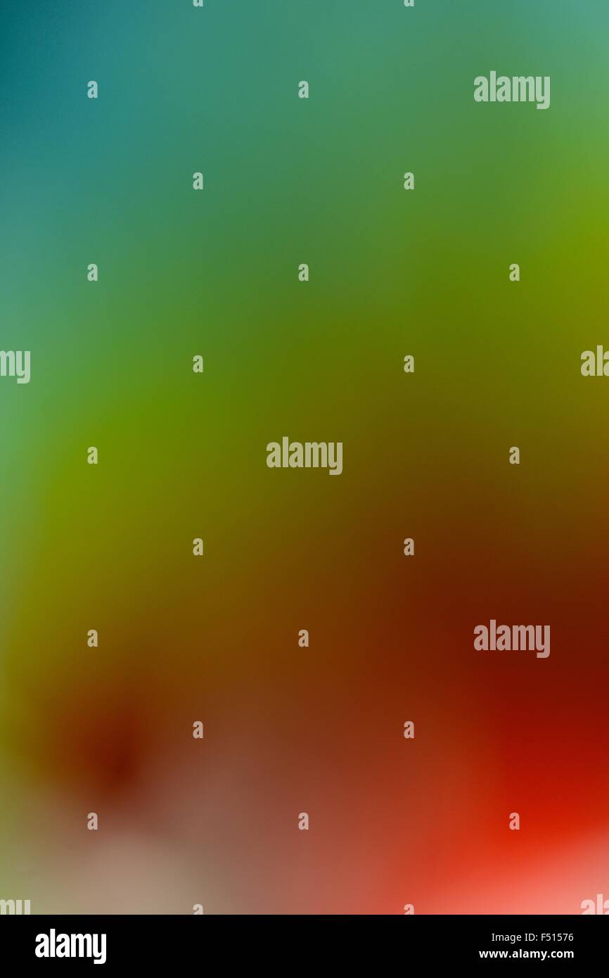 Green natural background of out of focus forest or bokeh Stock Photo ...