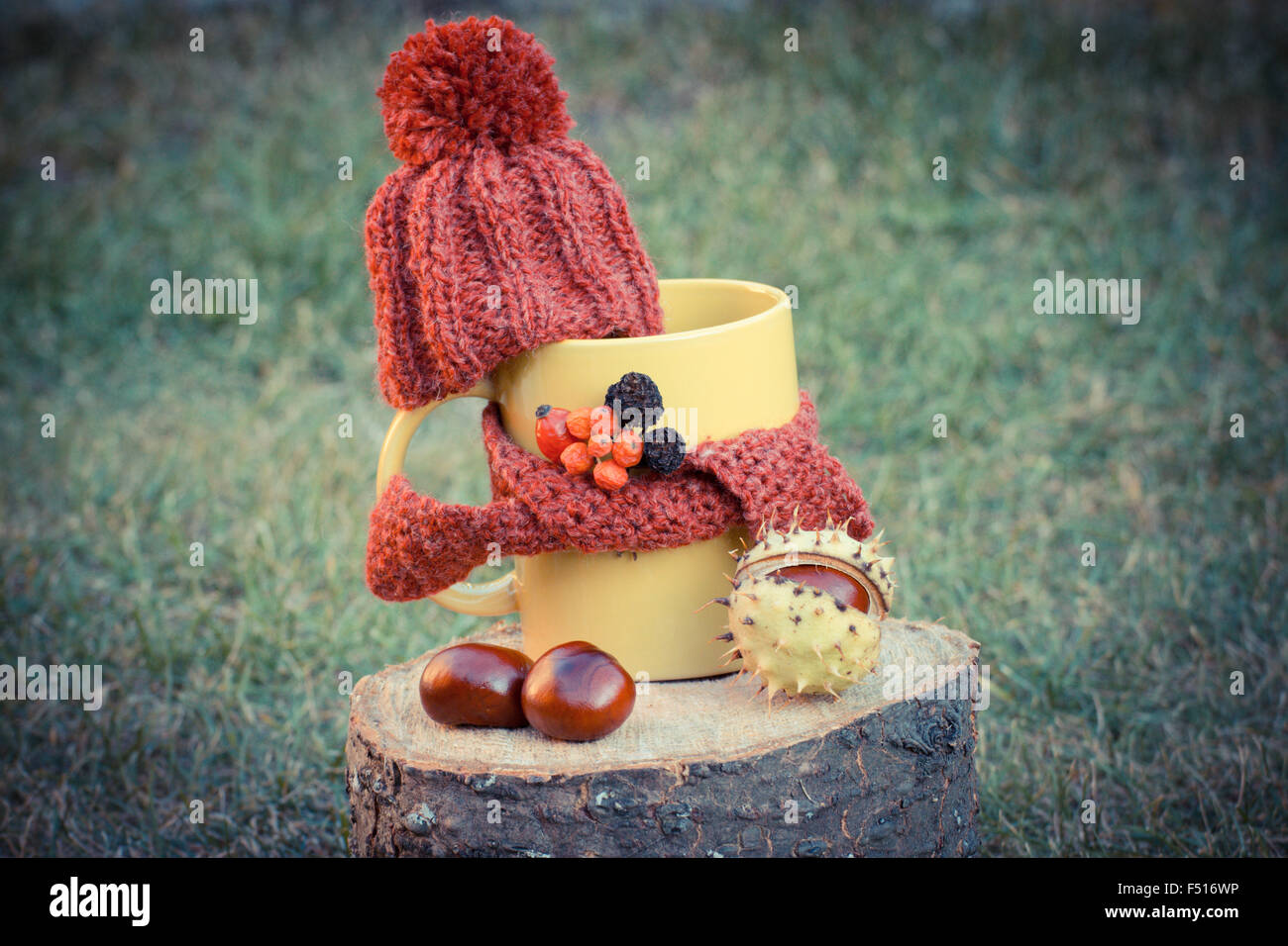 Vintage photo, Yellow cup of hot tea with woolen cap wrapped woolen ...