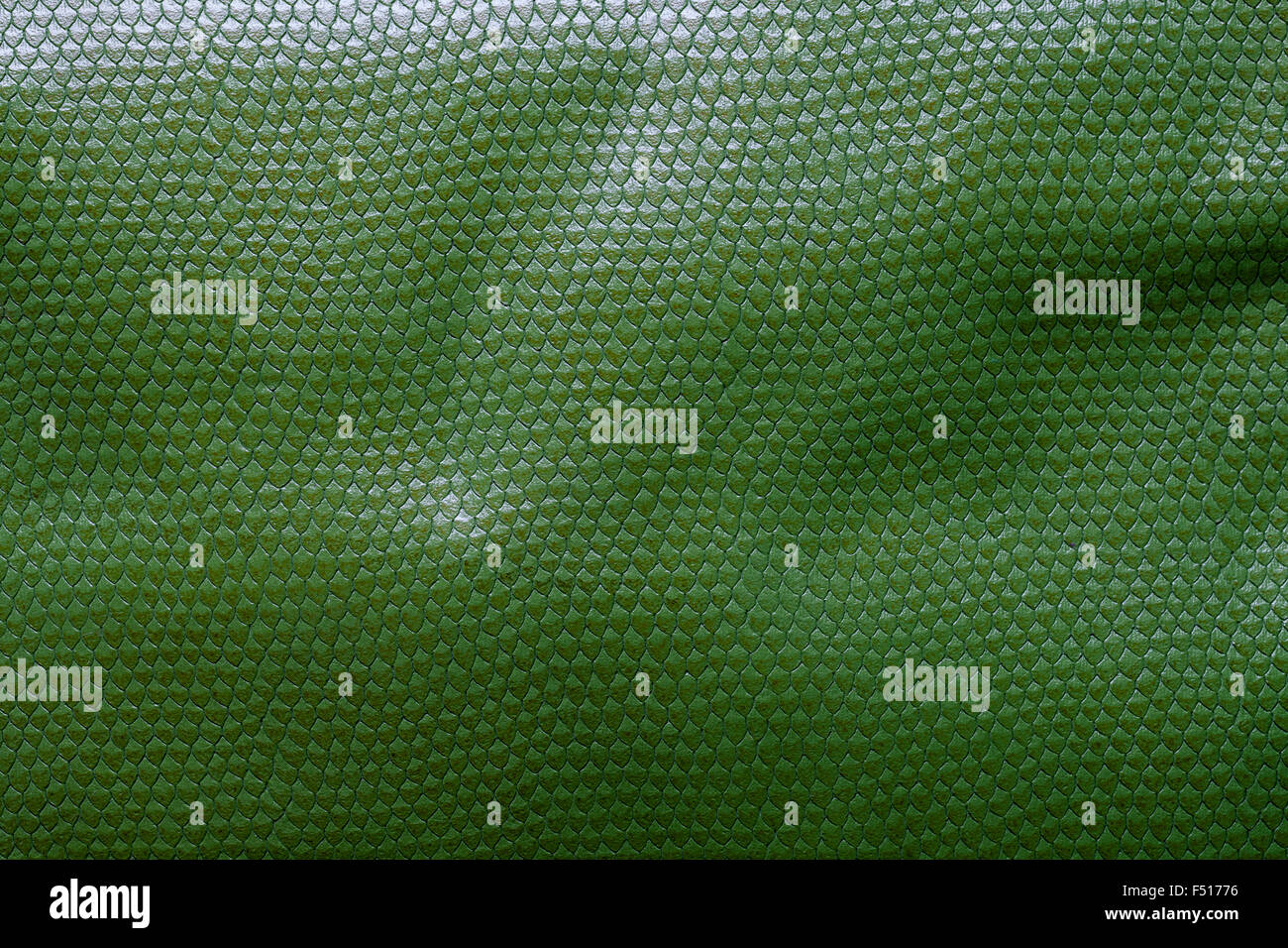 Skin squared hi-res stock photography and images - Alamy