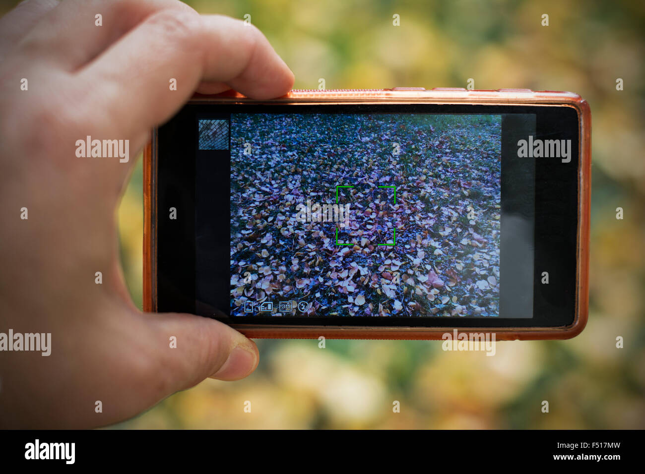 Person taking a photo with mobile photo camera, on photo is park in ...