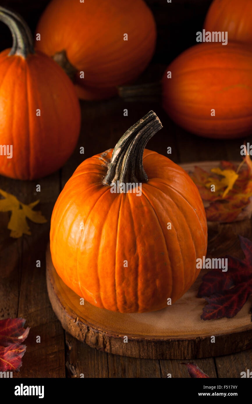 Halloween pumpkins organic food hi-res stock photography and images - Alamy