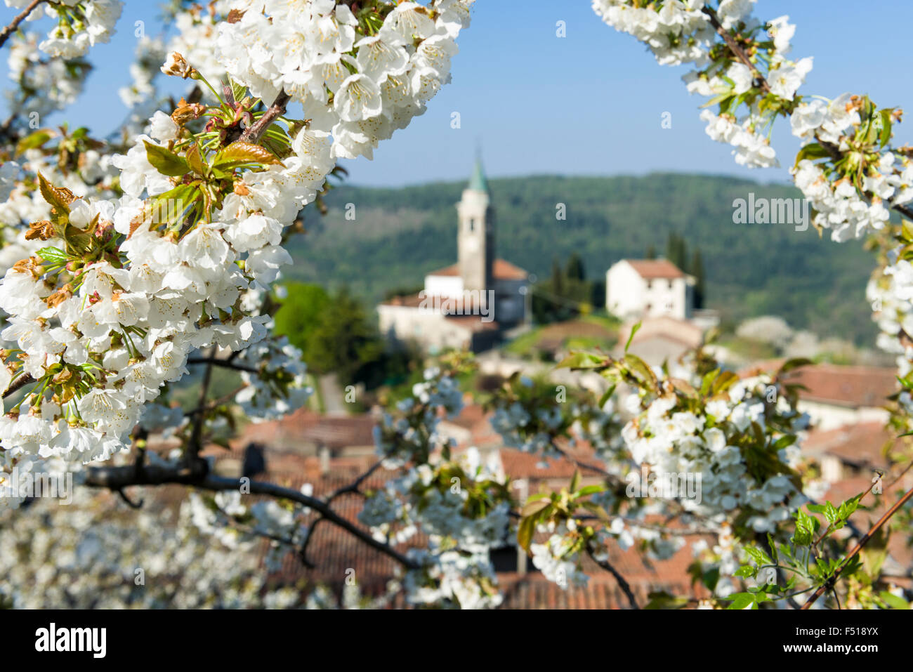 Village of cherry tree hi-res stock photography and images - Alamy