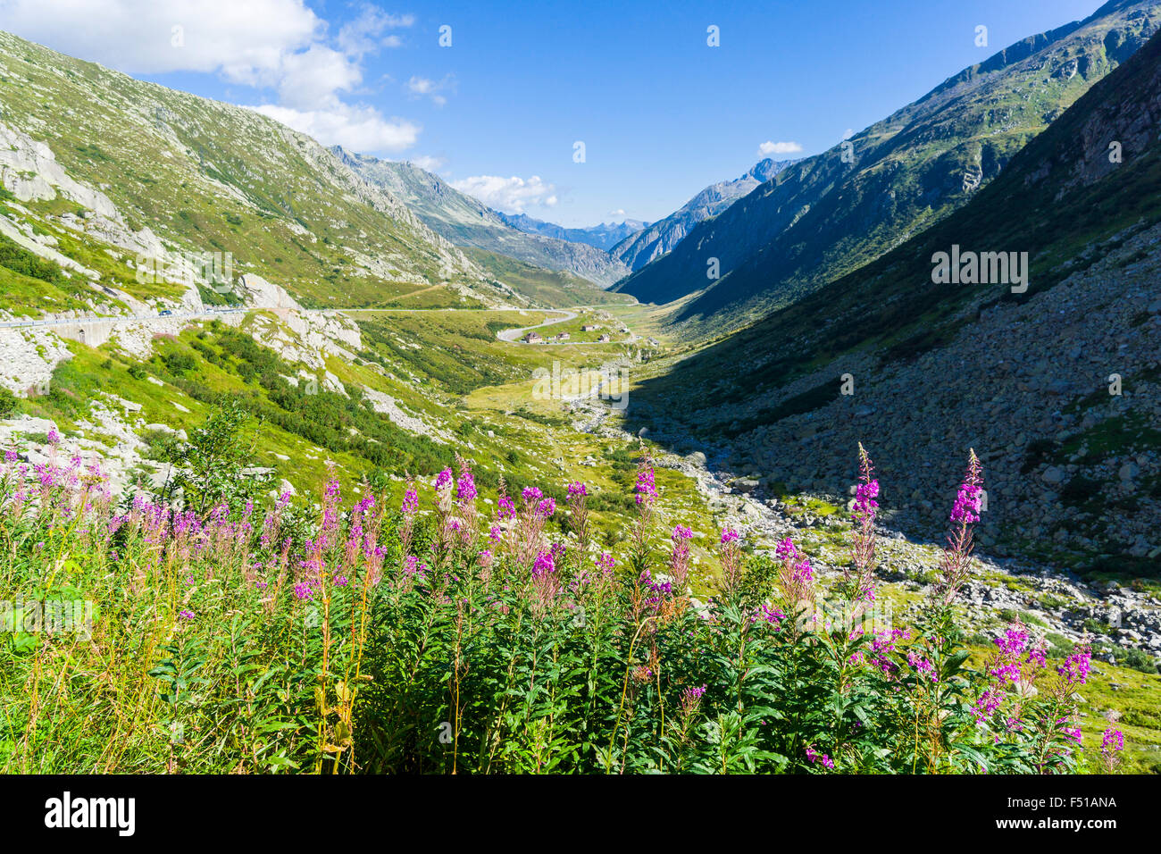High altitude landscape with mountains and green meadows at ...