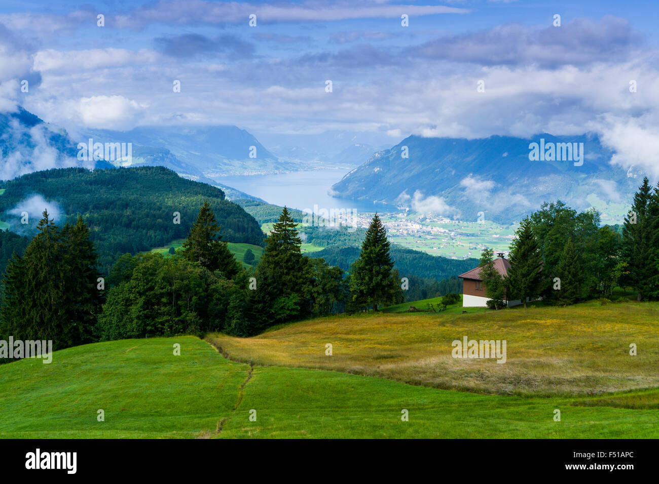 High altitude landscape with clouds, mountains, trees and green meadows ...