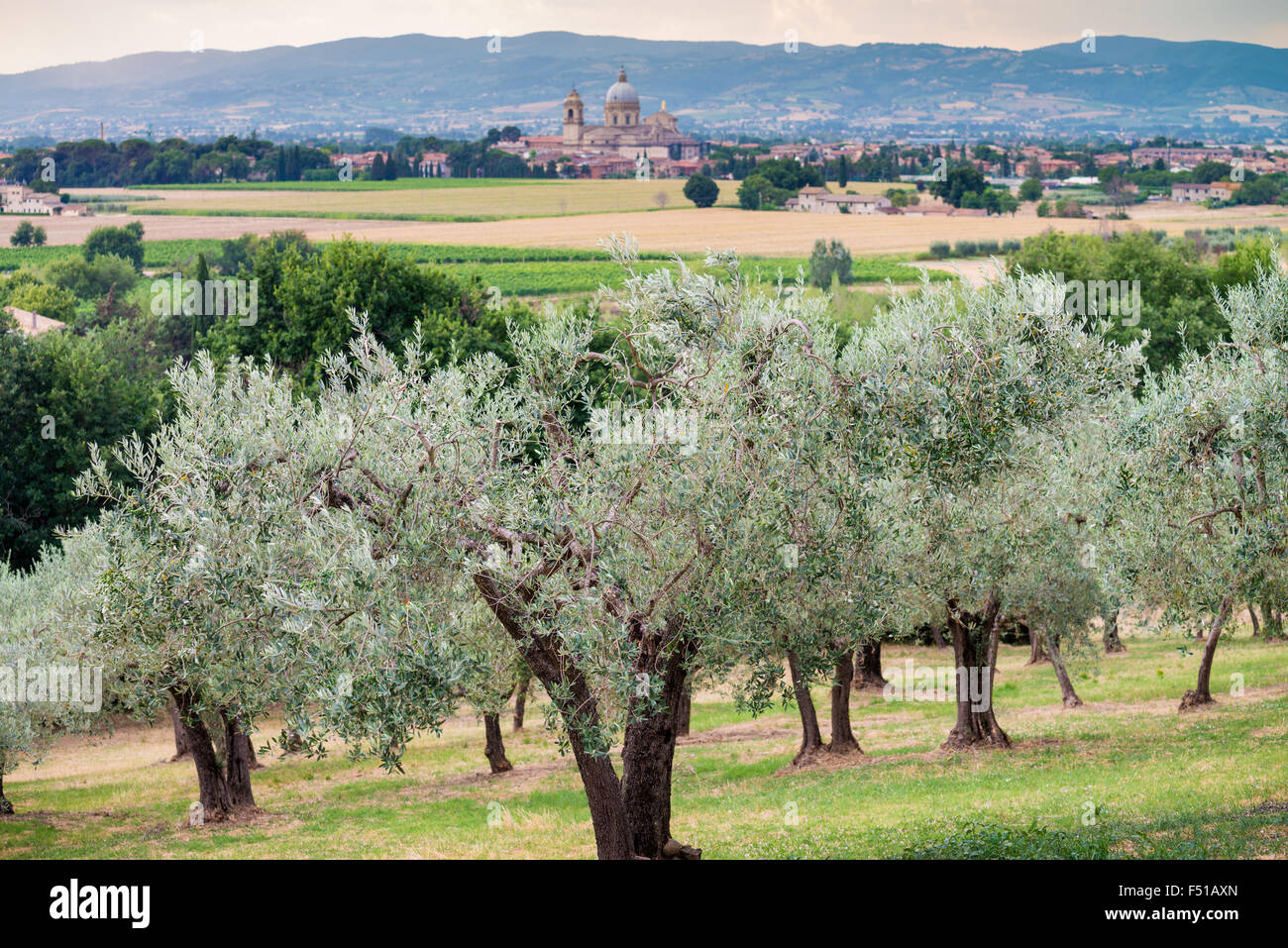 Basilica di Santa Maria degli Angeli, Umbria, Italy, Europe Stock Photo ...