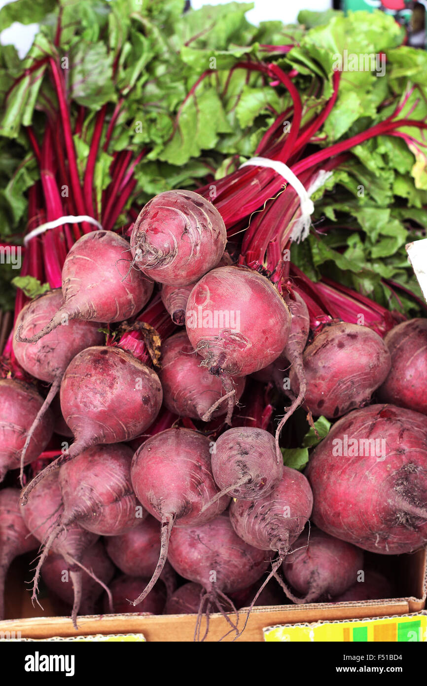 Beetroot with stalk and leaves hi-res stock photography and images - Alamy