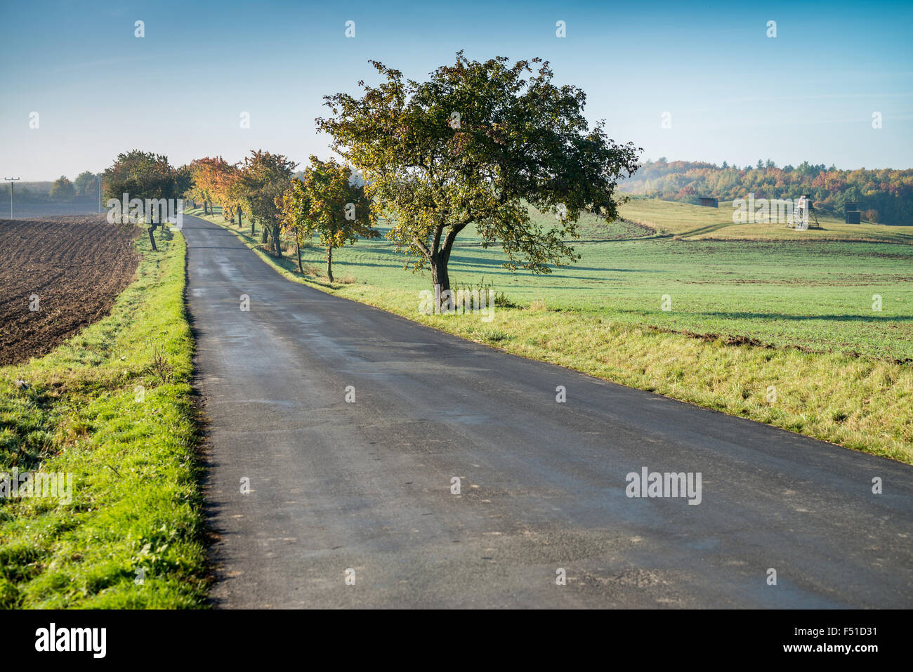 A path in the autumnal landscape, Czech Republic Stock Photo - Alamy