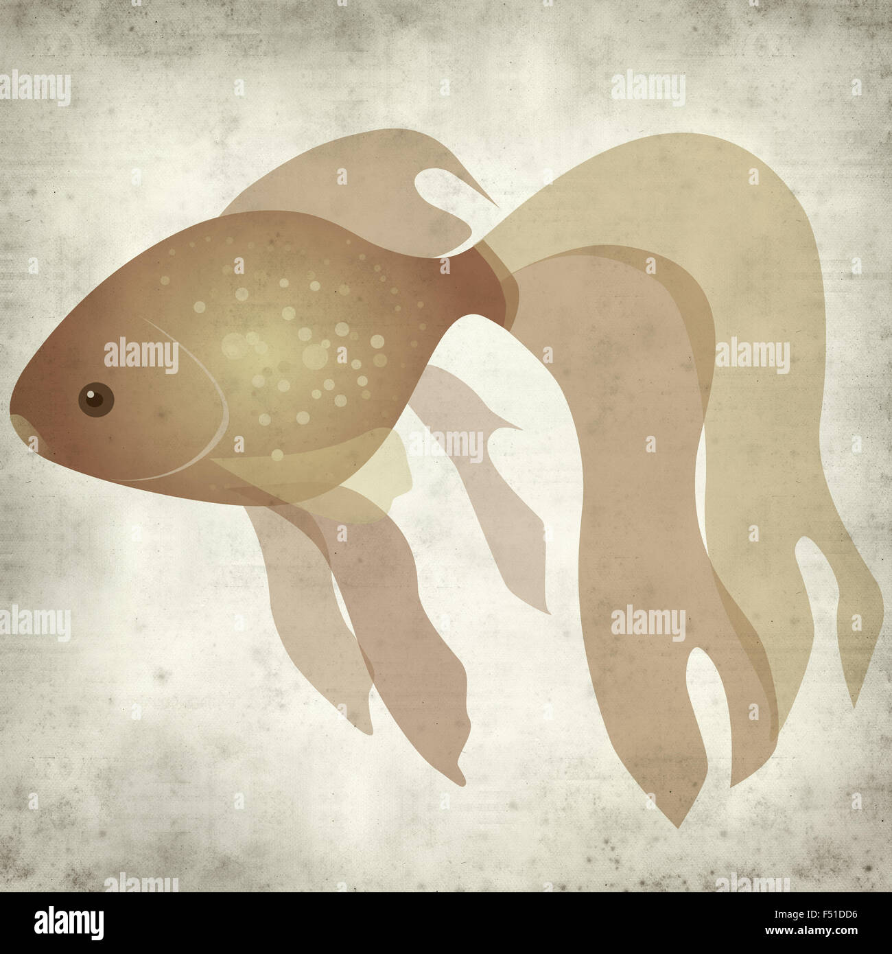 Goldfish texture hi-res stock photography and images - Alamy