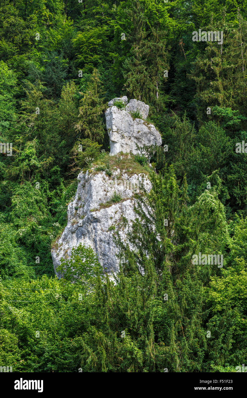 Rock formations alongside the Danube River on the Kelheim to Weltenburg ...