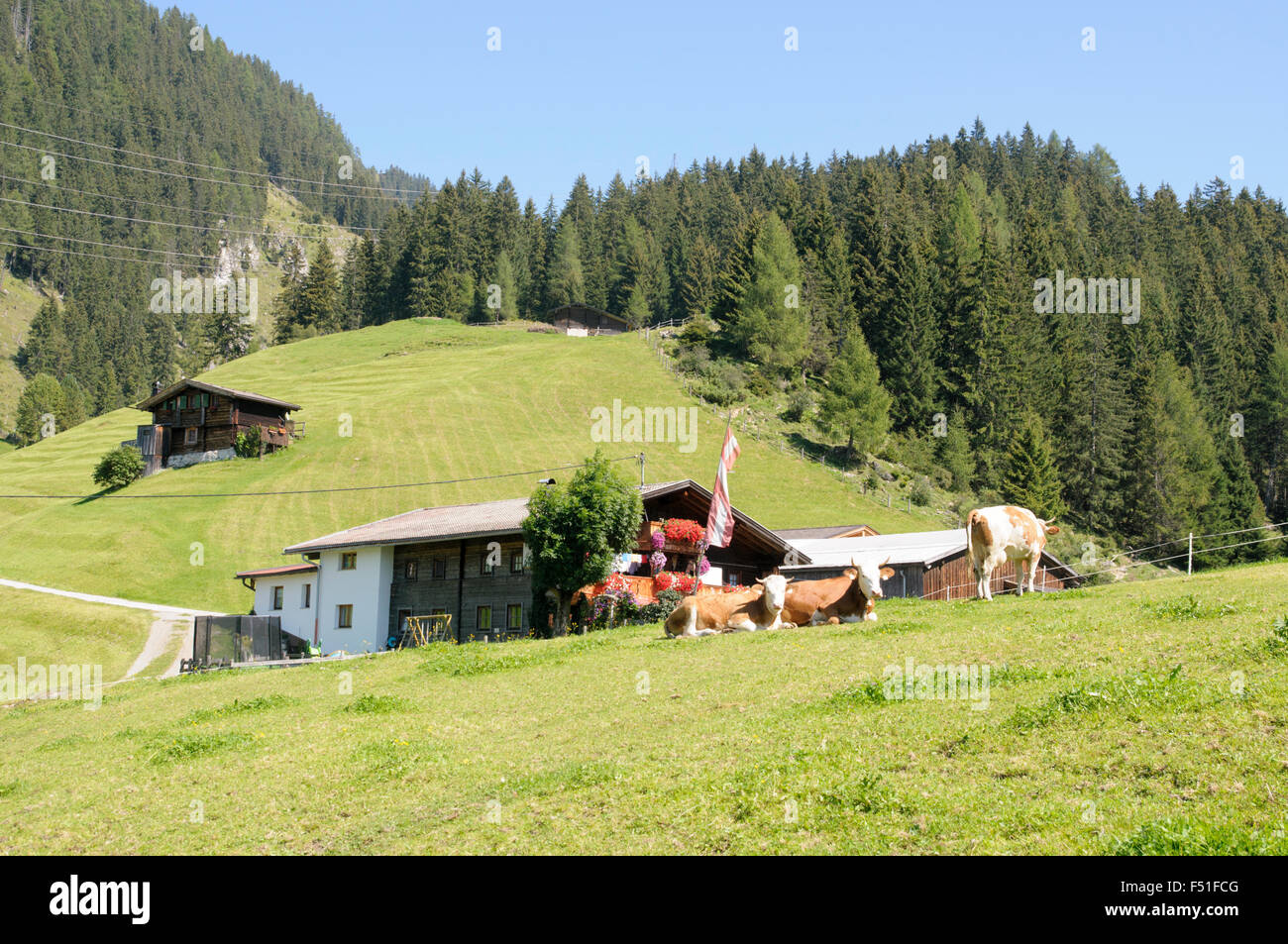 Remote alpine farmhouse photographed in Tirol, Austria Stock Photo - Alamy