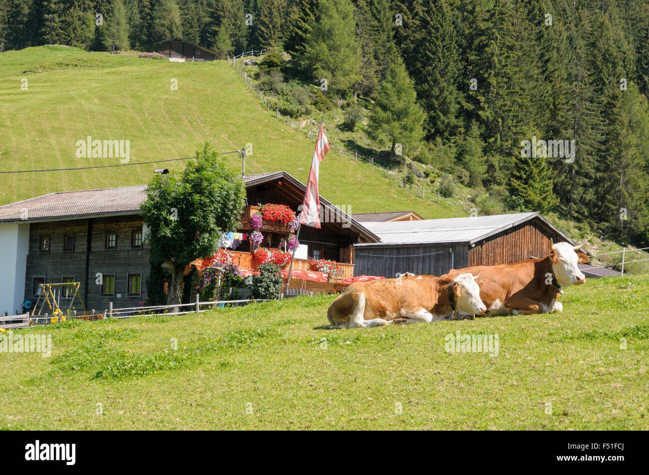 Remote alpine farmhouse photographed in Tirol, Austria Stock Photo - Alamy