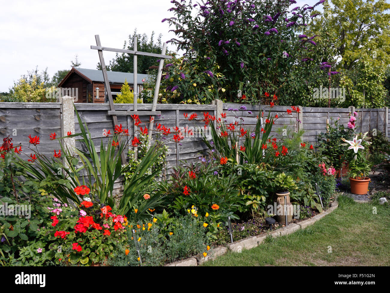 COLOURFUL AUTUMN BORDER IN A SMALL RURAL BACK GARDEN. UK Stock Photo ...