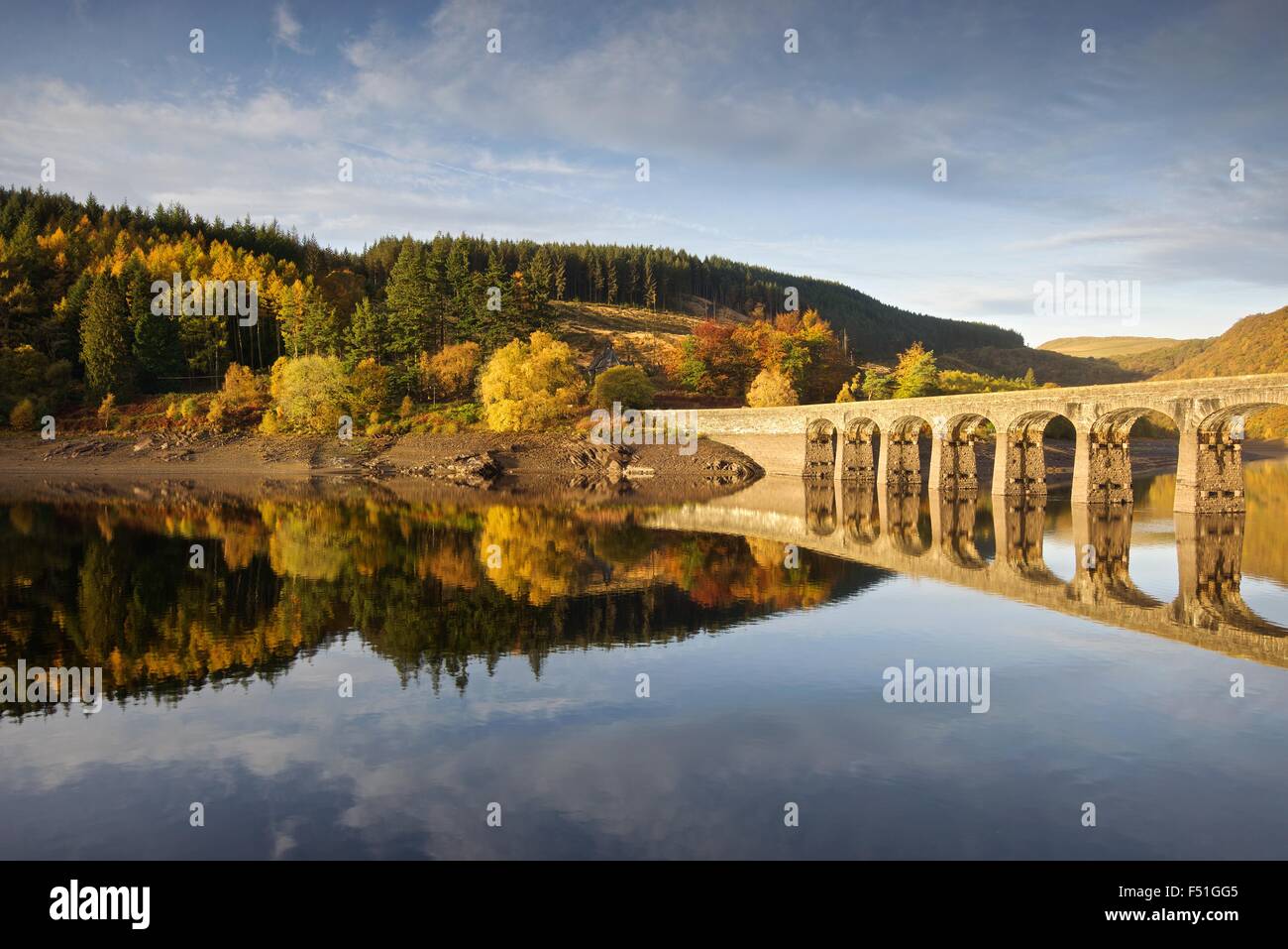 Autumn colours showing in the Elan Valley mid Wales in Powys on a still ...