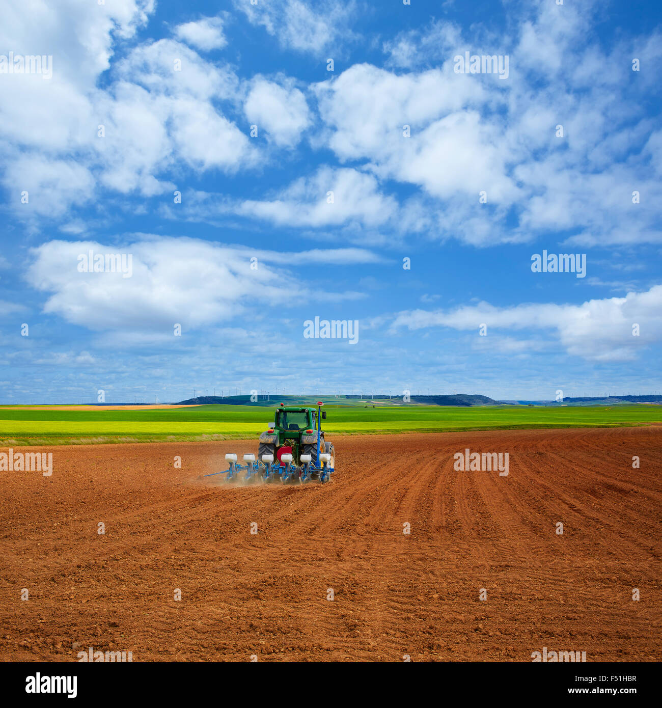 Cereal fields by The Way of Saint James in Castilla Leon of Spain Stock ...