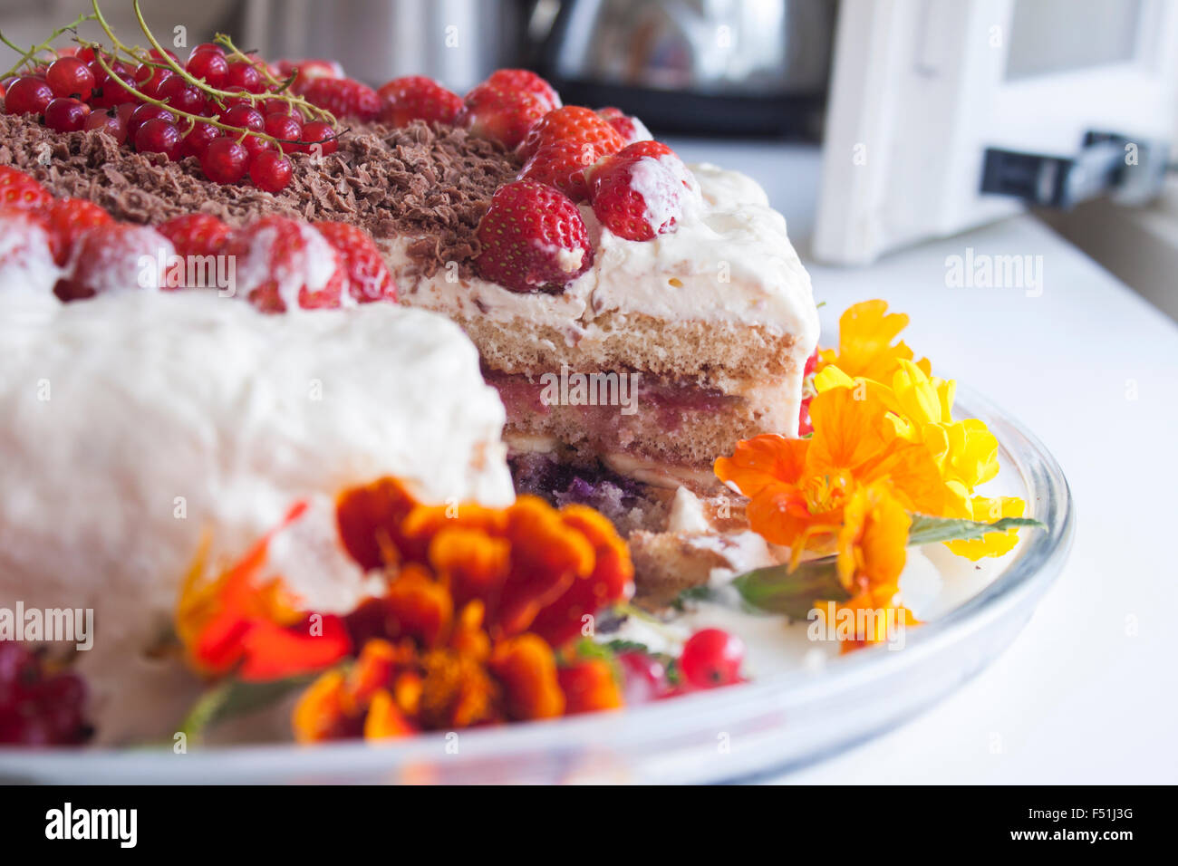 Marigold cream hi-res stock photography and images - Alamy
