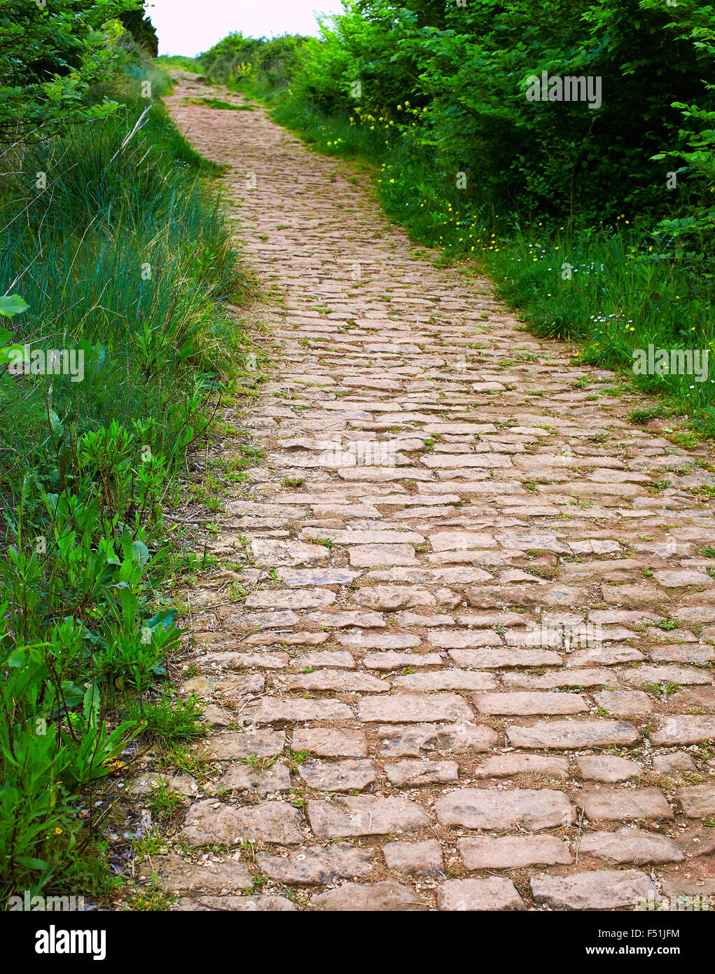 The way of Saint James roman track in Cirauqui Navarra Pamplona Stock ...