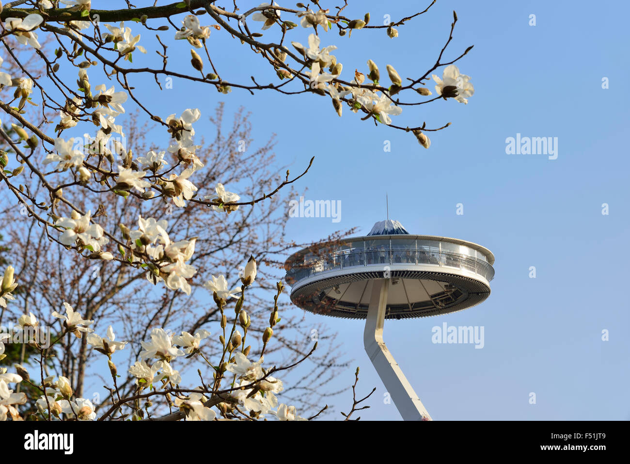Rising observatory platform "Island Fuji" and blooming flowers at ...