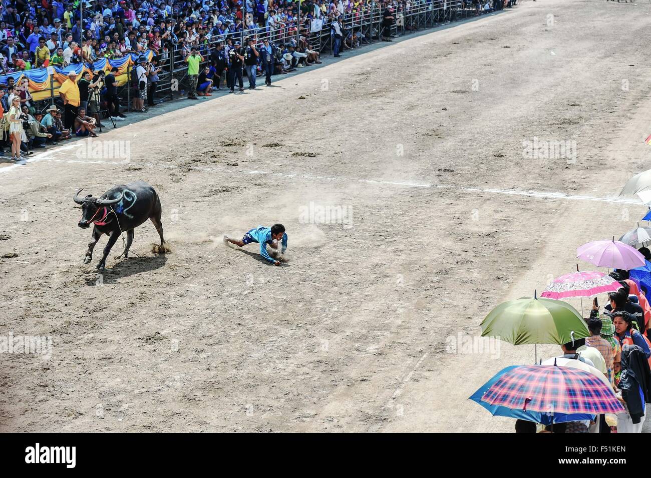Buffalo galloping hi-res stock photography and images - Alamy