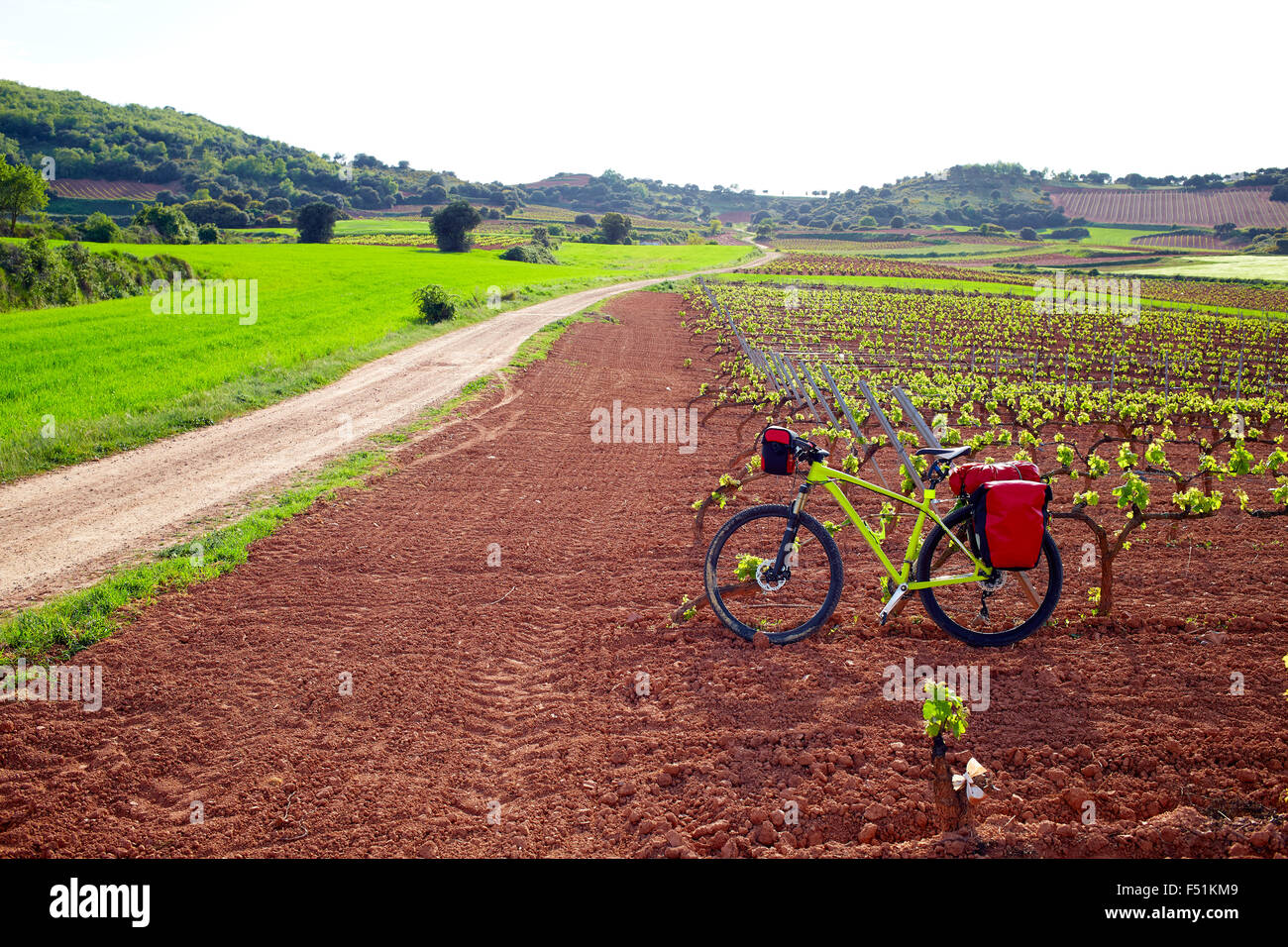 La Rioja vineyard fields biking in The Way of Saint James with bike ...