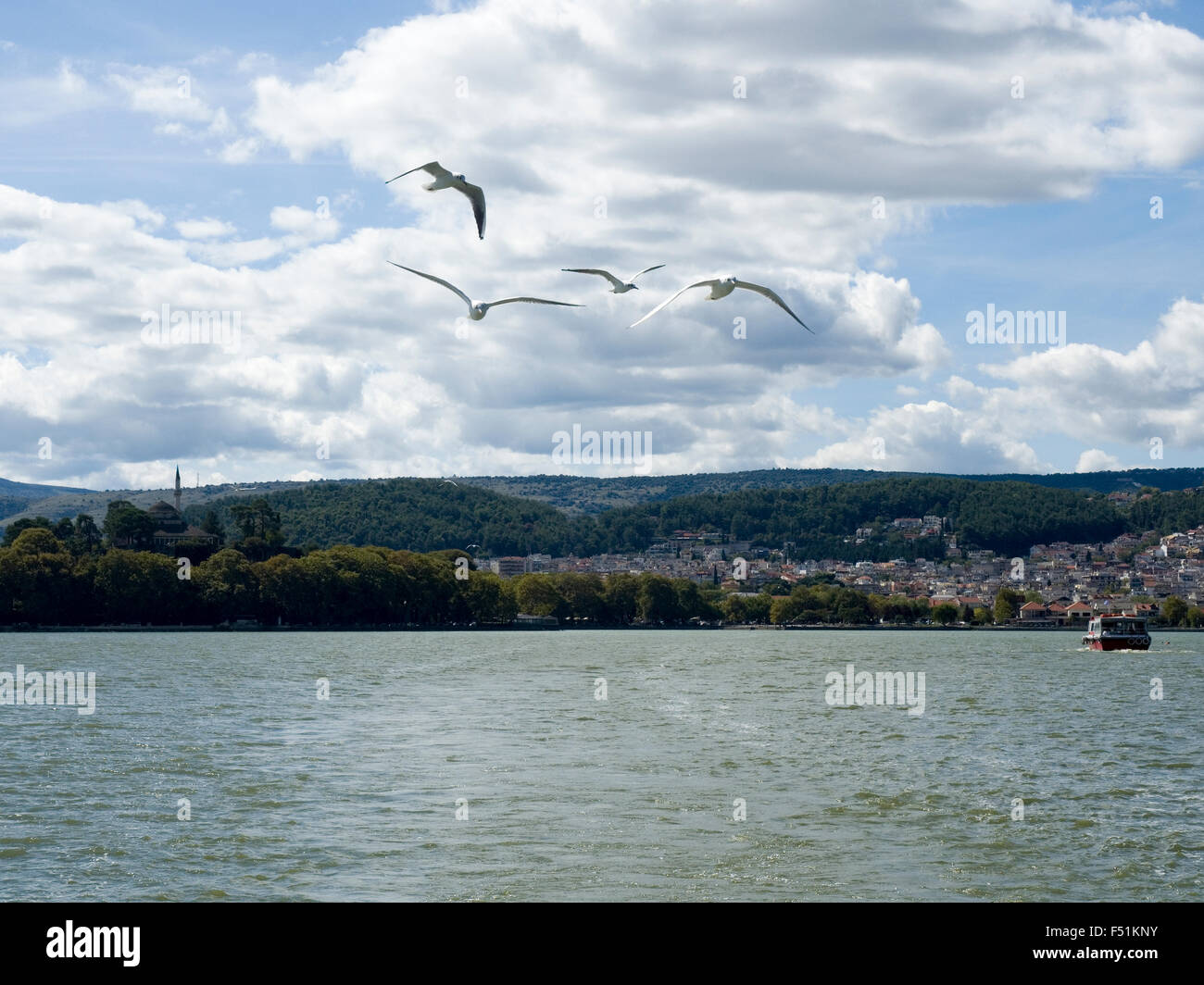 Aoos river in the vikos-aoos national park, Greece Stock Photo - Alamy