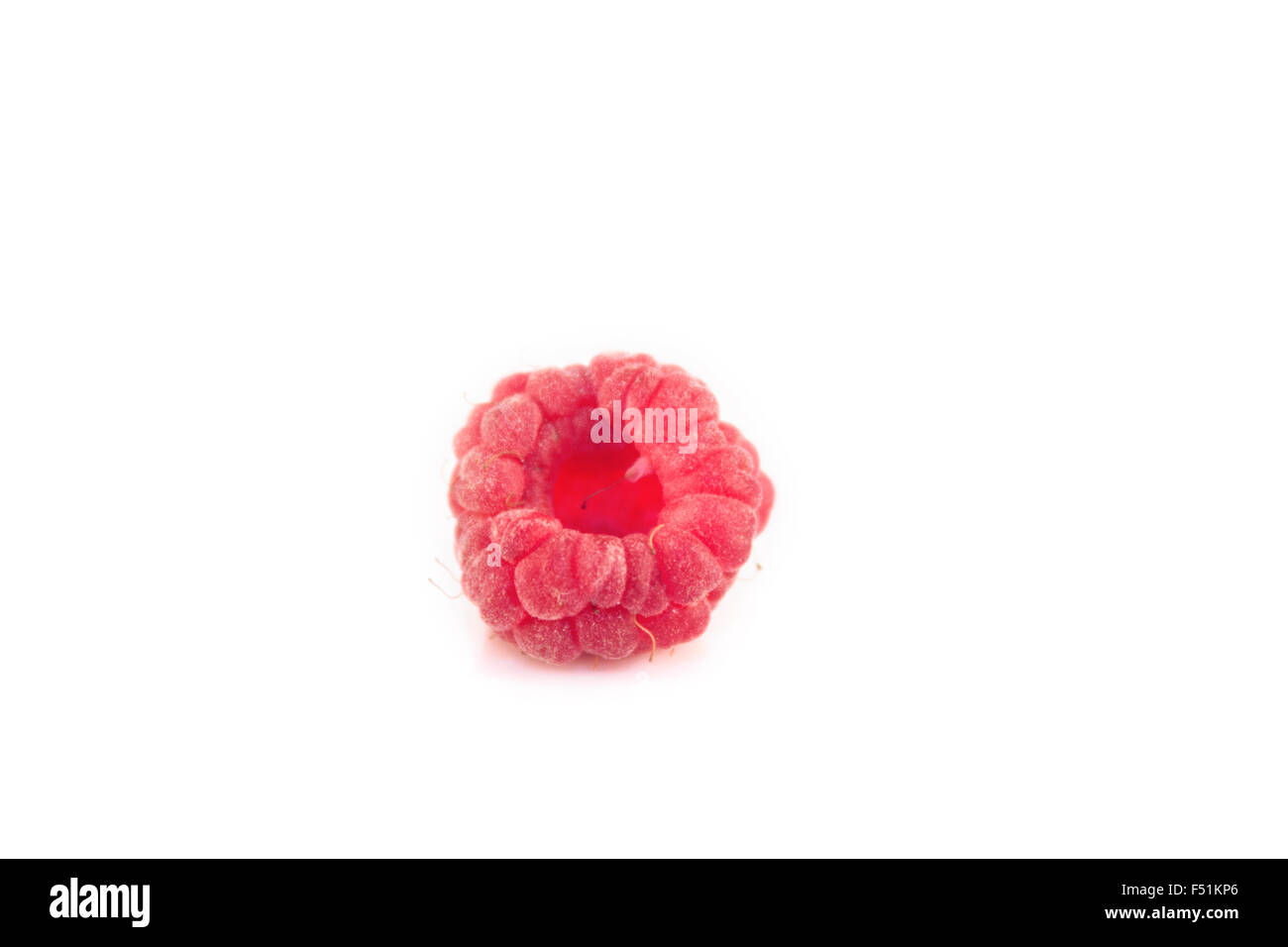 Red Raspberry, Rubus idaeus, isolated on white background Stock Photo ...