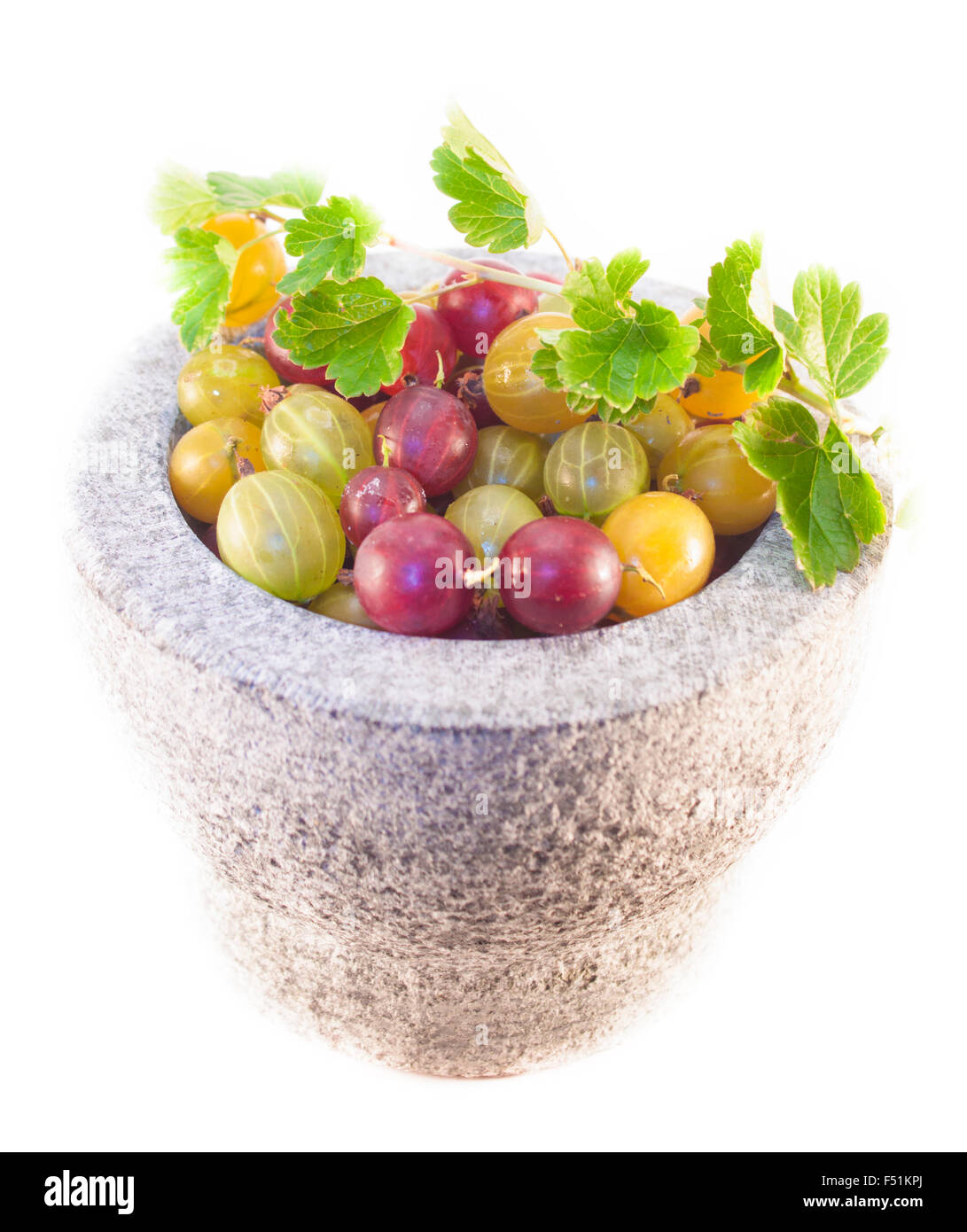 Yellow, red and green gooseberries, ribes uva-crispa in a stone bowl ...