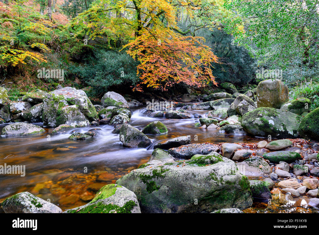 The Dewerstone, Dartmoor National Park High Resolution Stock ...