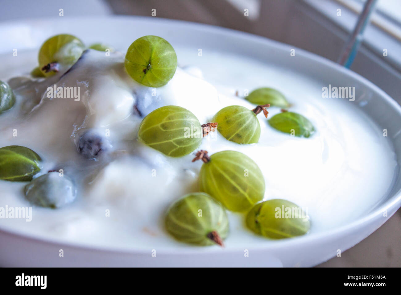 Blue berry yoghurt on white hi-res stock photography and images - Alamy