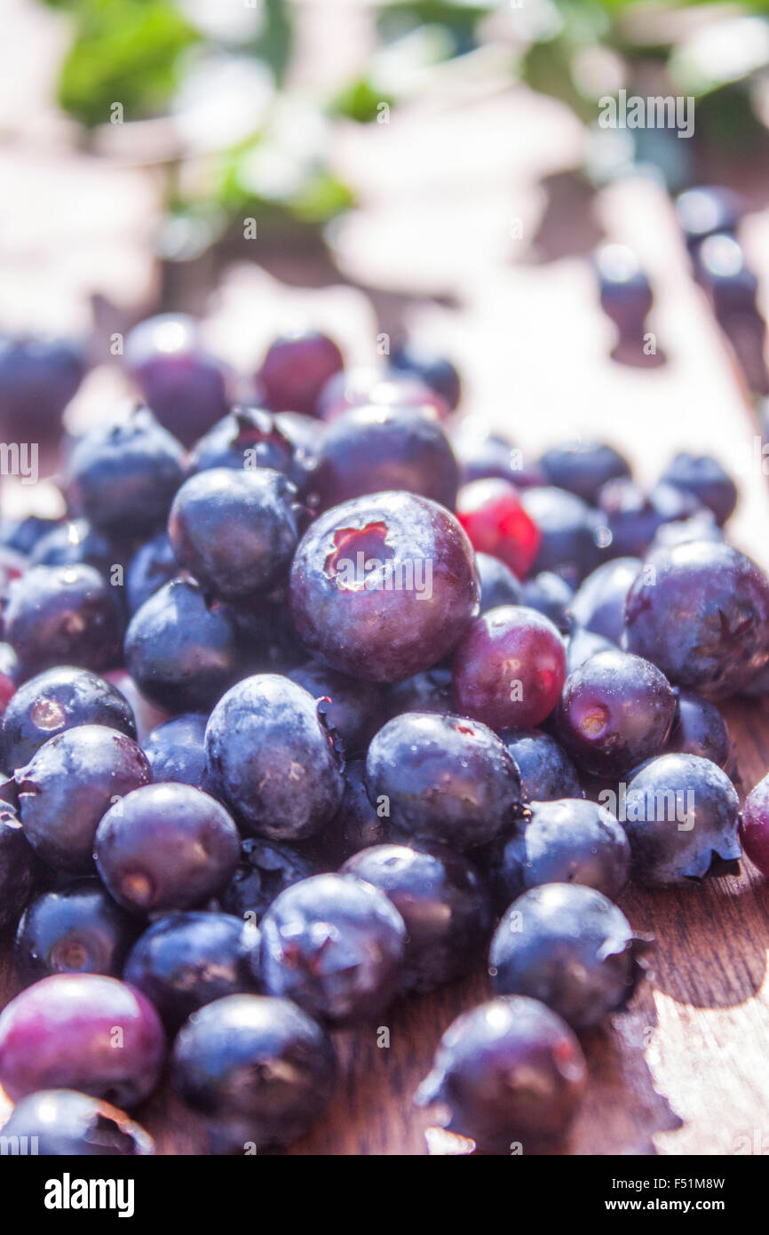 Handpicked hi-res stock photography and images - Alamy