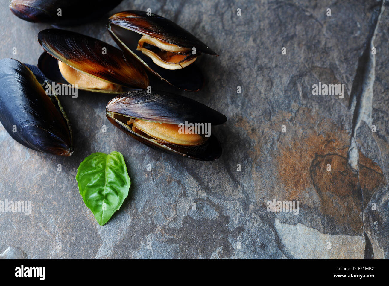 Black shell mussels hi-res stock photography and images - Alamy