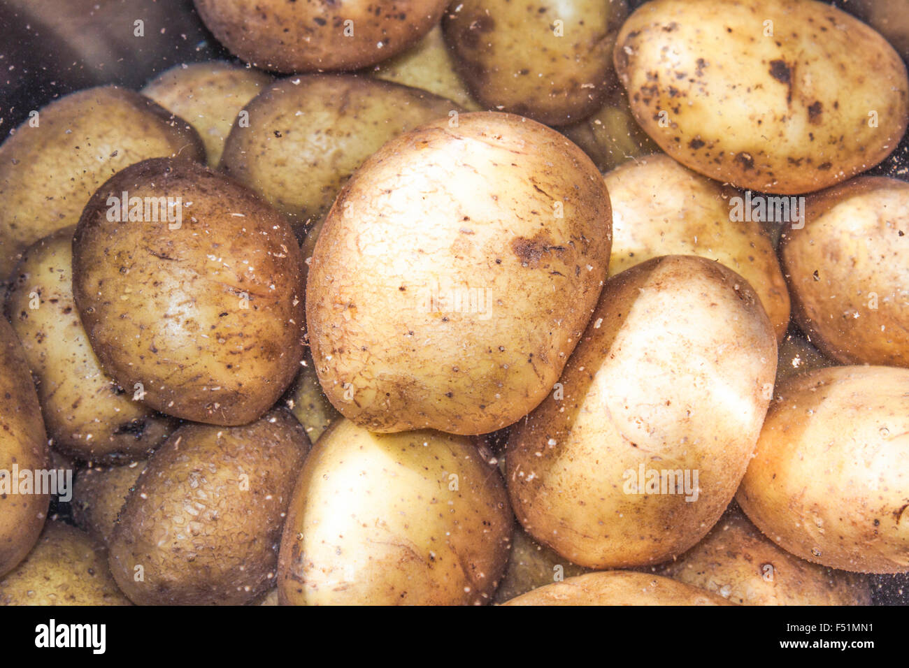 A lot of potatoes and water, inside a boiler Stock Photo - Alamy