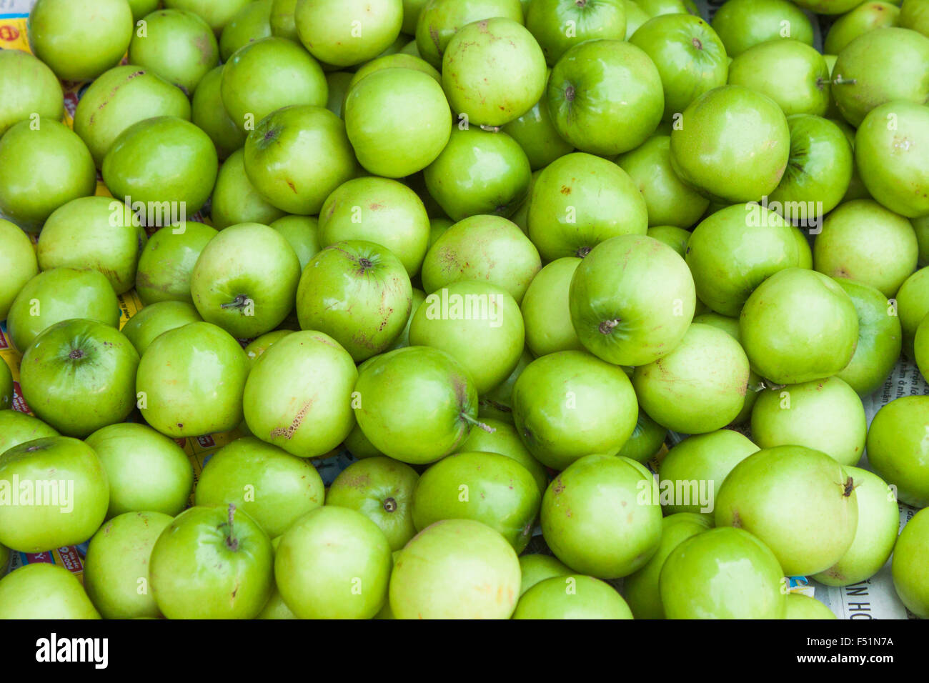 A lot of green star apples, chrysophyllum cainito at a market in Phu ...