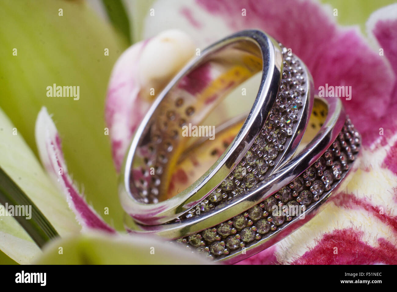 Beautiful wedding rings Stock Photo - Alamy