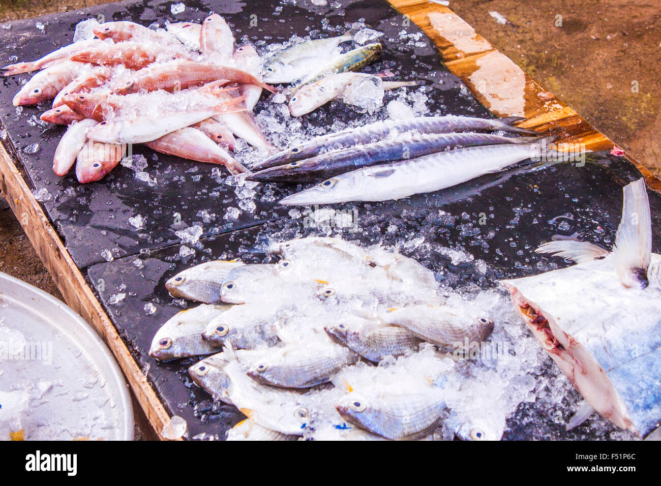 Ice piles hi-res stock photography and images - Alamy