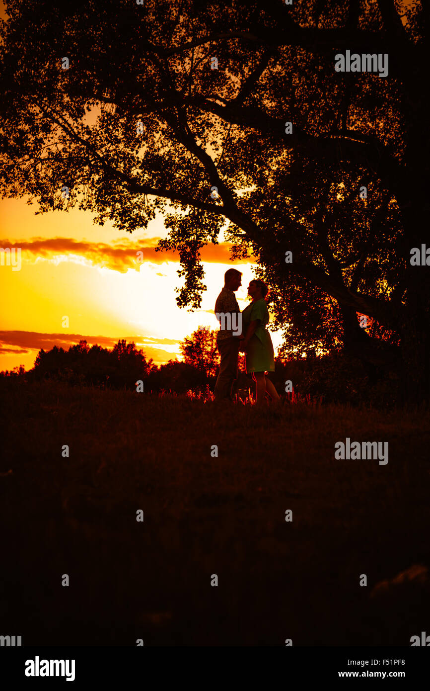 Romantic couple standing and kissing on background summer meadow sunset Stock Photo - Alamy